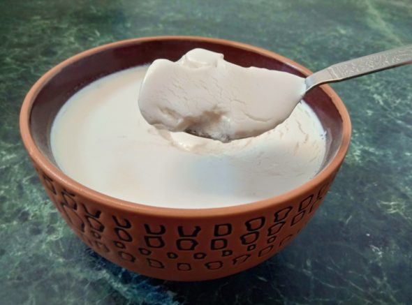 Vegan Curd Starter with Dalia - Of Donkeys & Dhoklas