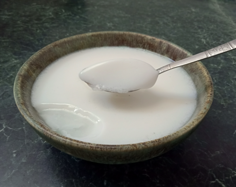 Vegan Coconut Curd with Agar Agar. – Of Donkeys & Dhoklas