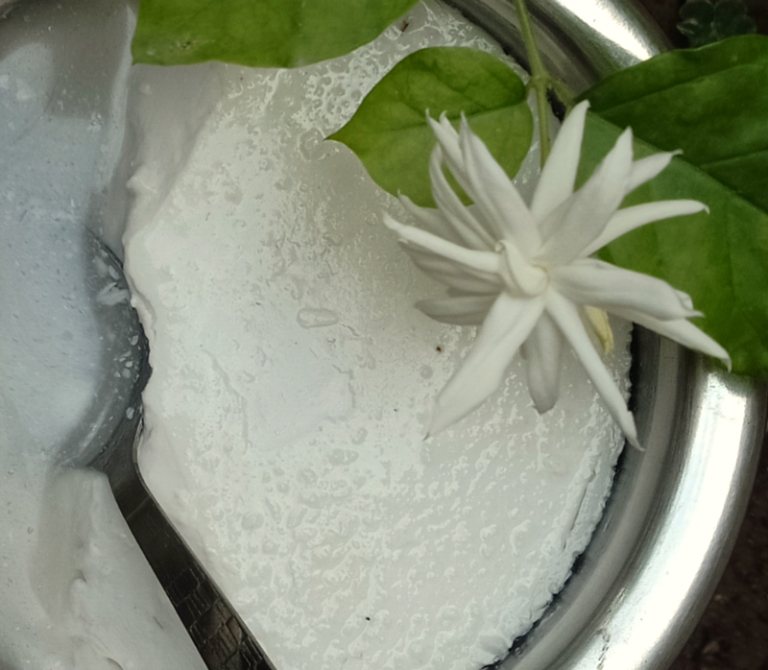 Vegan Peanut Curd 101: All your Questions Answered! – Of Donkeys & Dhoklas