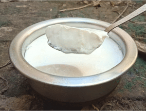 Easy Peanut Curd (No Soaking Required!) – Of Donkeys & Dhoklas